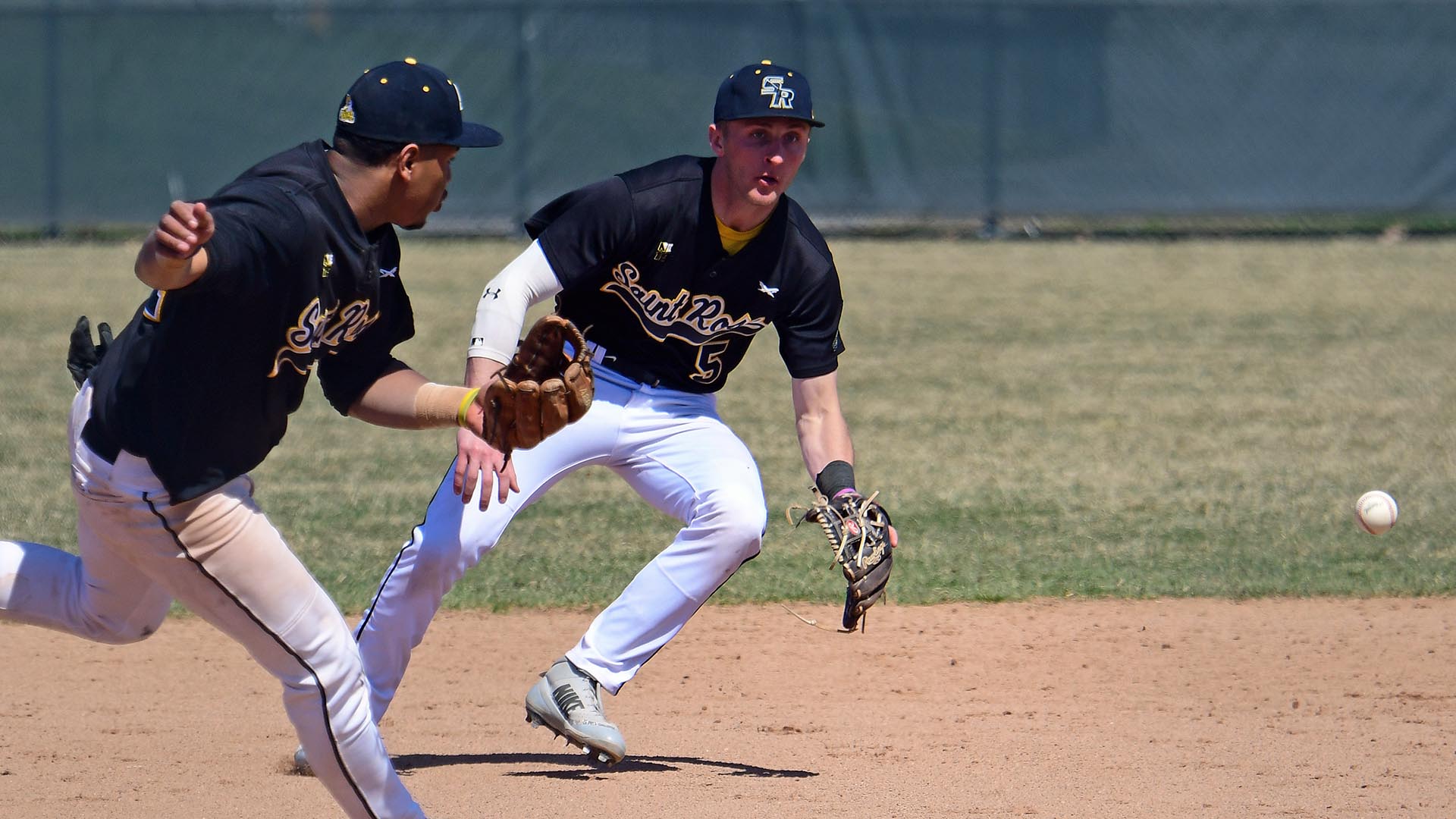 Andrew Pedone - Baseball - College of Saint Rose Athletics