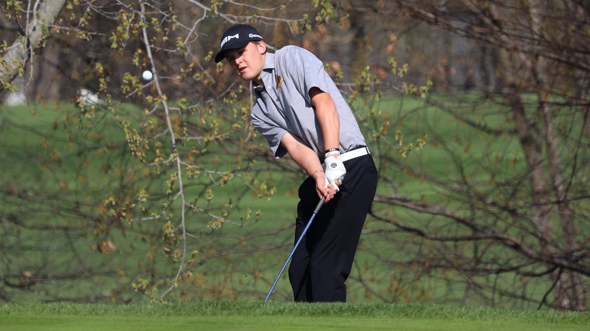 Jack Manning - Men's Golf - College of Saint Rose Athletics