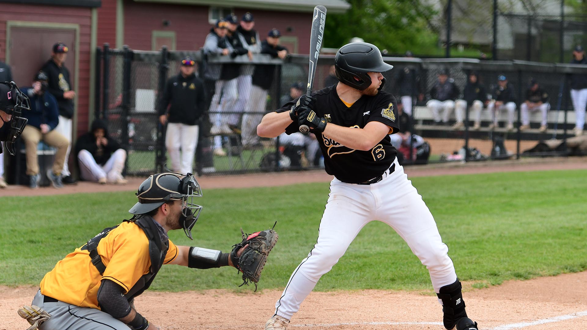 Max Gebauer - Baseball - College of Saint Rose Athletics