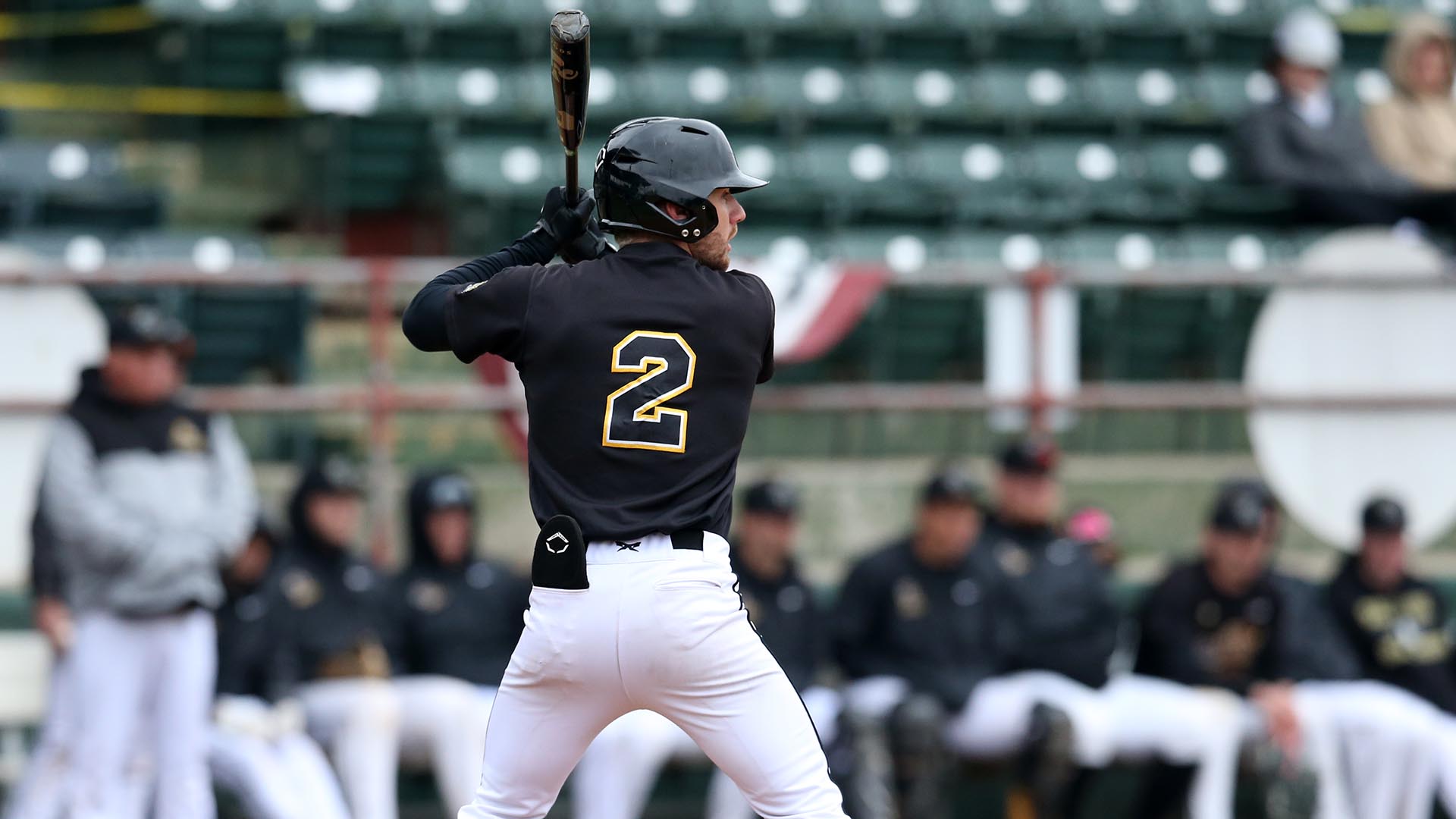 Jared Reed - Baseball - College of Saint Rose Athletics