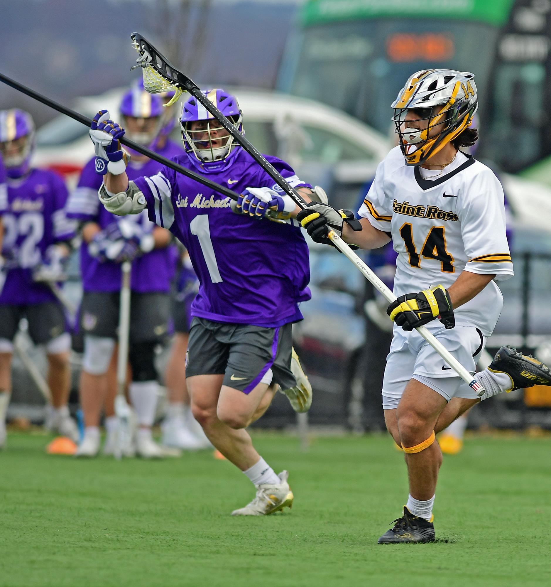 Michael Castelli - Men's Lacrosse - College of Saint Rose Athletics