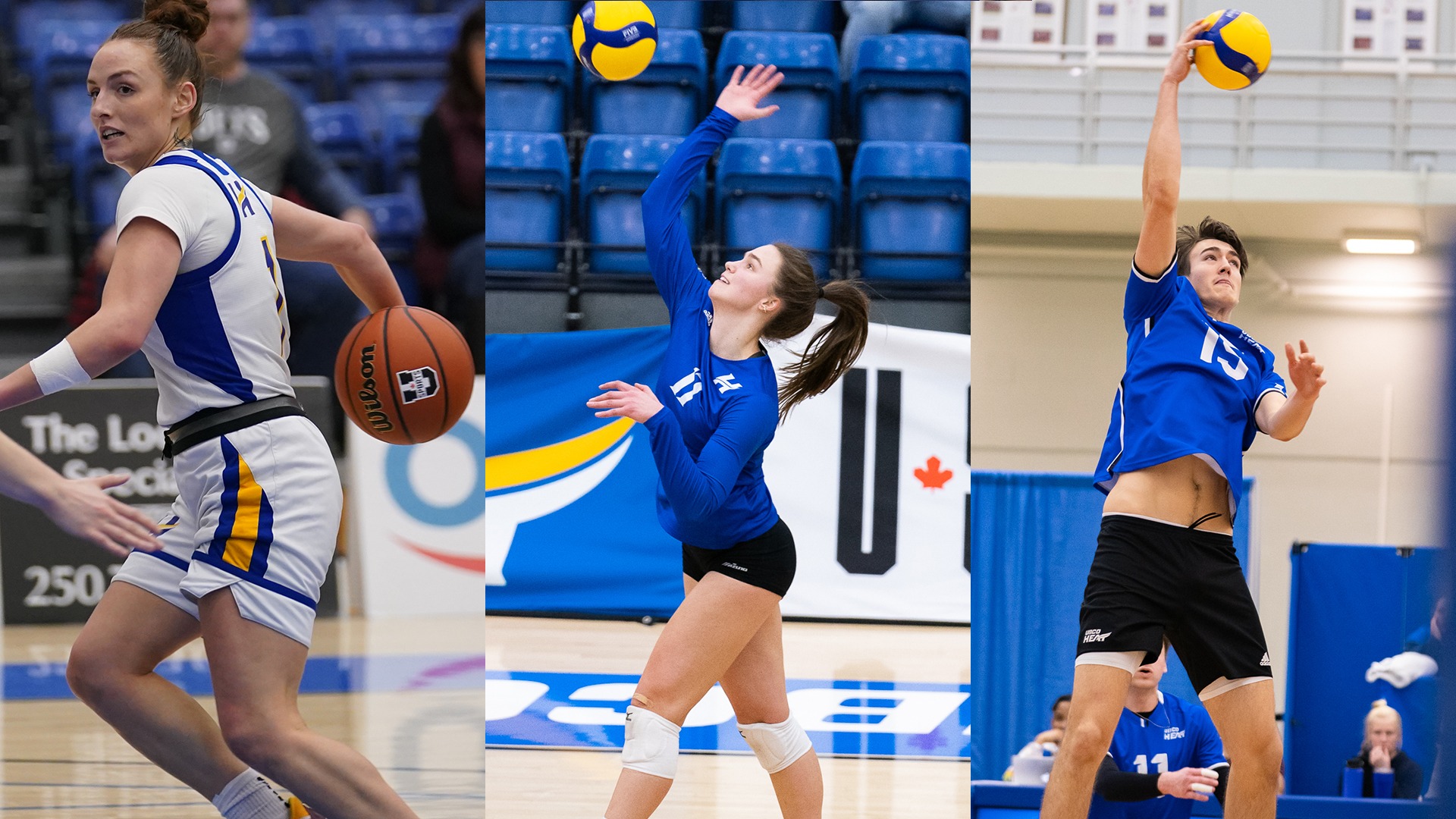 HEAT THIS WEEK: Women's basketball heads into playoffs, volleyball ...