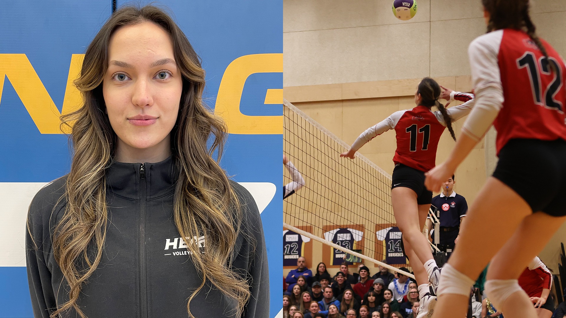 Women’s volleyball adds Marija Josipovic to roster for 2023-24 ...