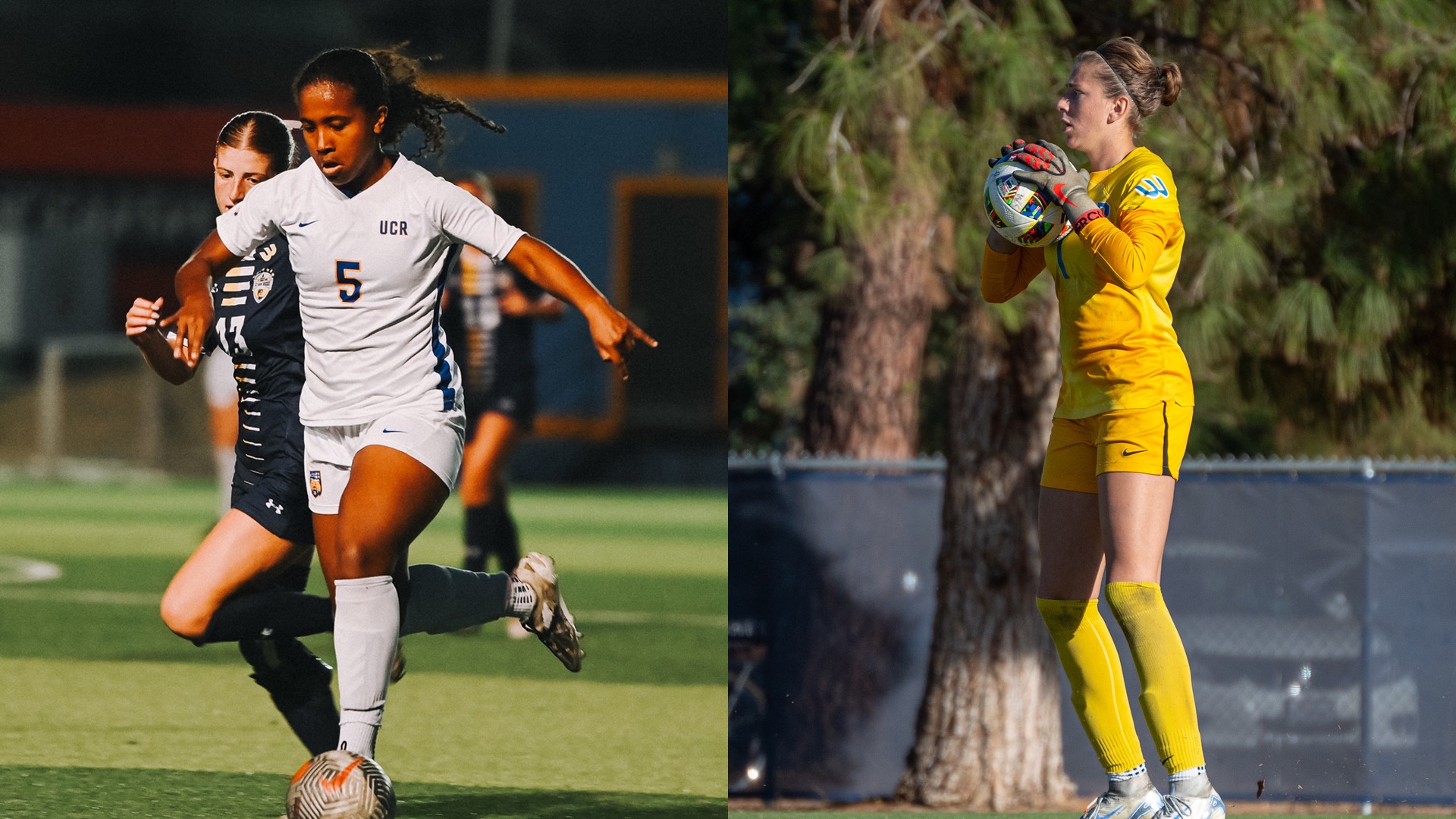 UC Riverside Names Mike Dibbini Head Coach of Women's Soccer Program ...
