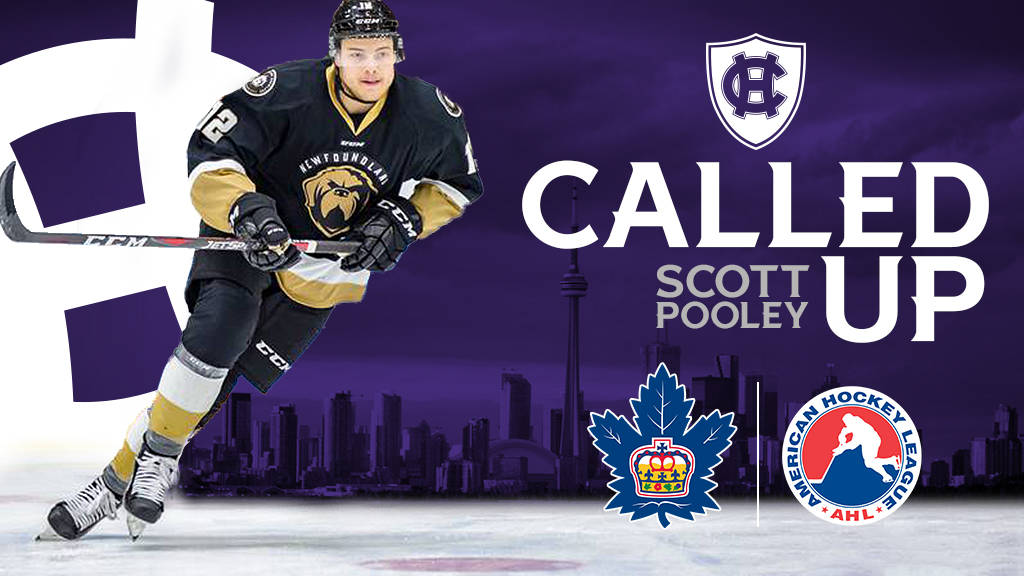Scott Pooley Recalled to AHL's Toronto Marlies - Holy Cross Athletics