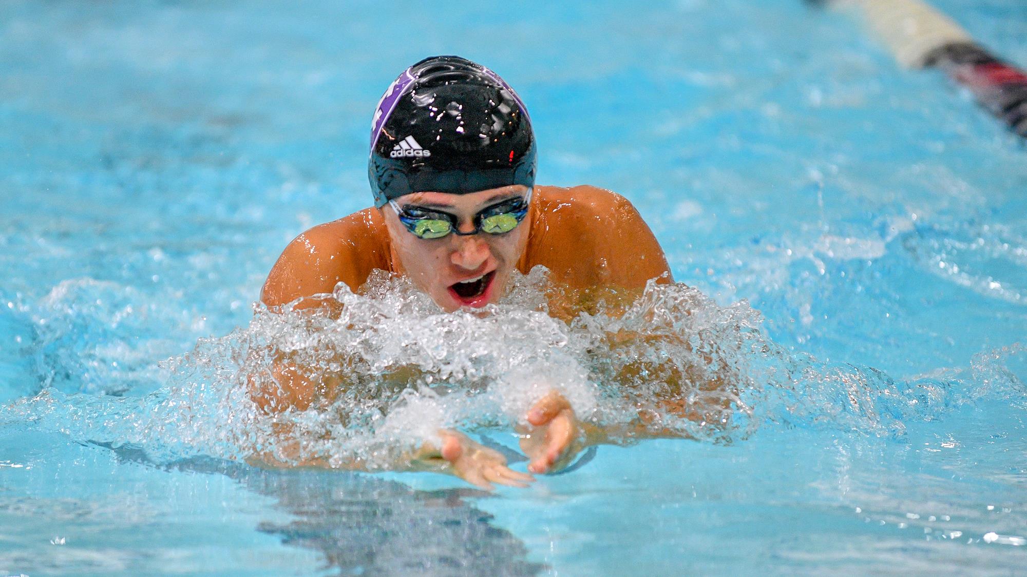 Swimming and diving falls at Maine - Holy Cross Athletics