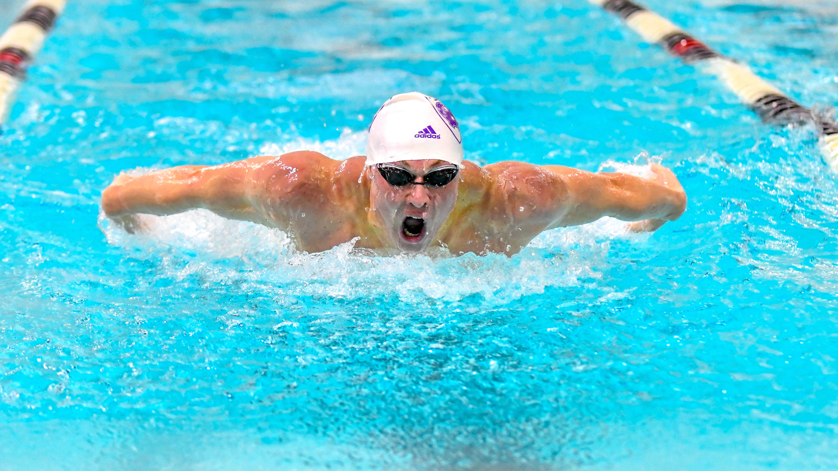 Swimming and Diving Sets 15 Program Records at the Patriot League ...