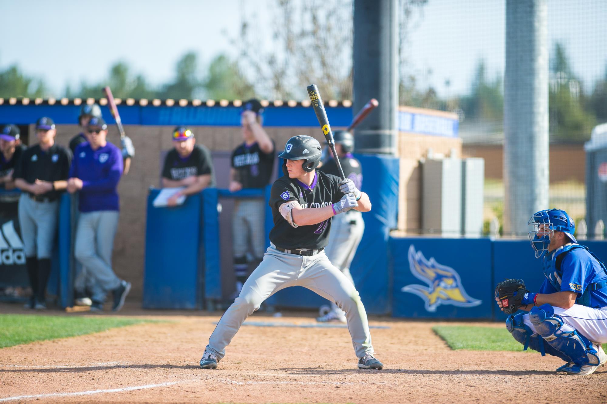 Andrew McKenna - 2020 - Baseball - Holy Cross Athletics