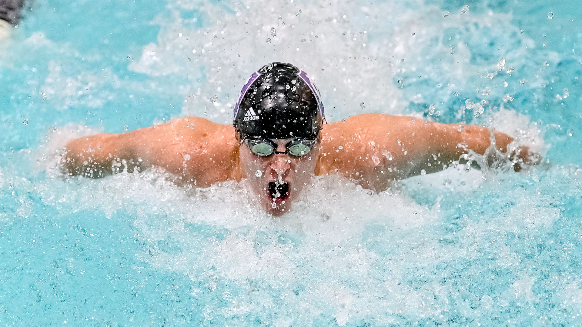 Charlie Nascimben - 2023-24 - Men's Swimming & Diving - Holy Cross ...