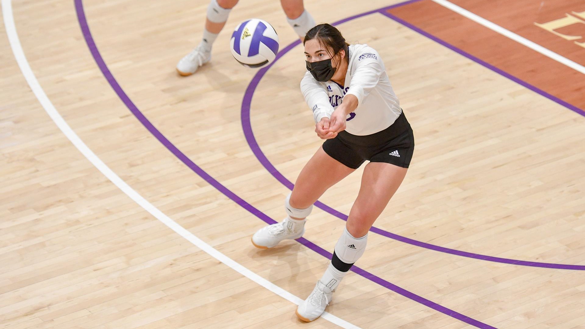 Rachel Harding - 2020 - Volleyball - Holy Cross Athletics