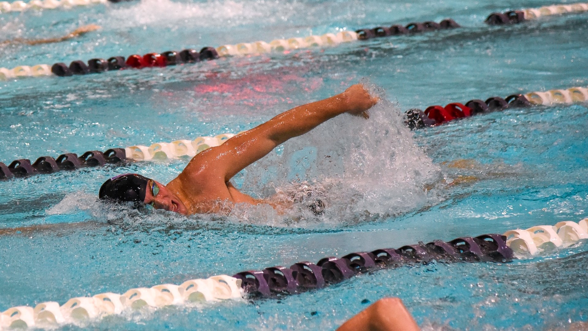 Luca Moscetti - 2023-24 - Men's Swimming & Diving - Holy Cross Athletics