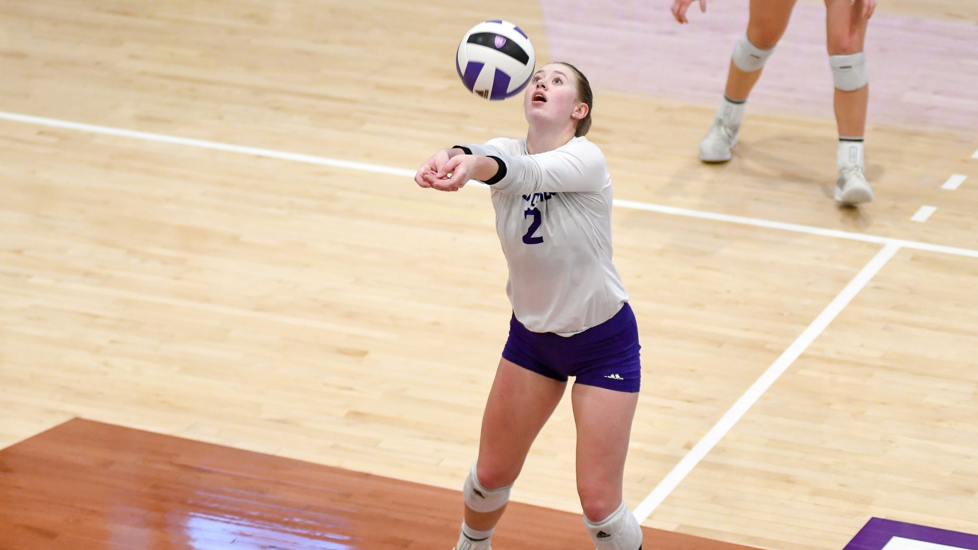Emma Halstead - 2024 - Volleyball - Holy Cross Athletics