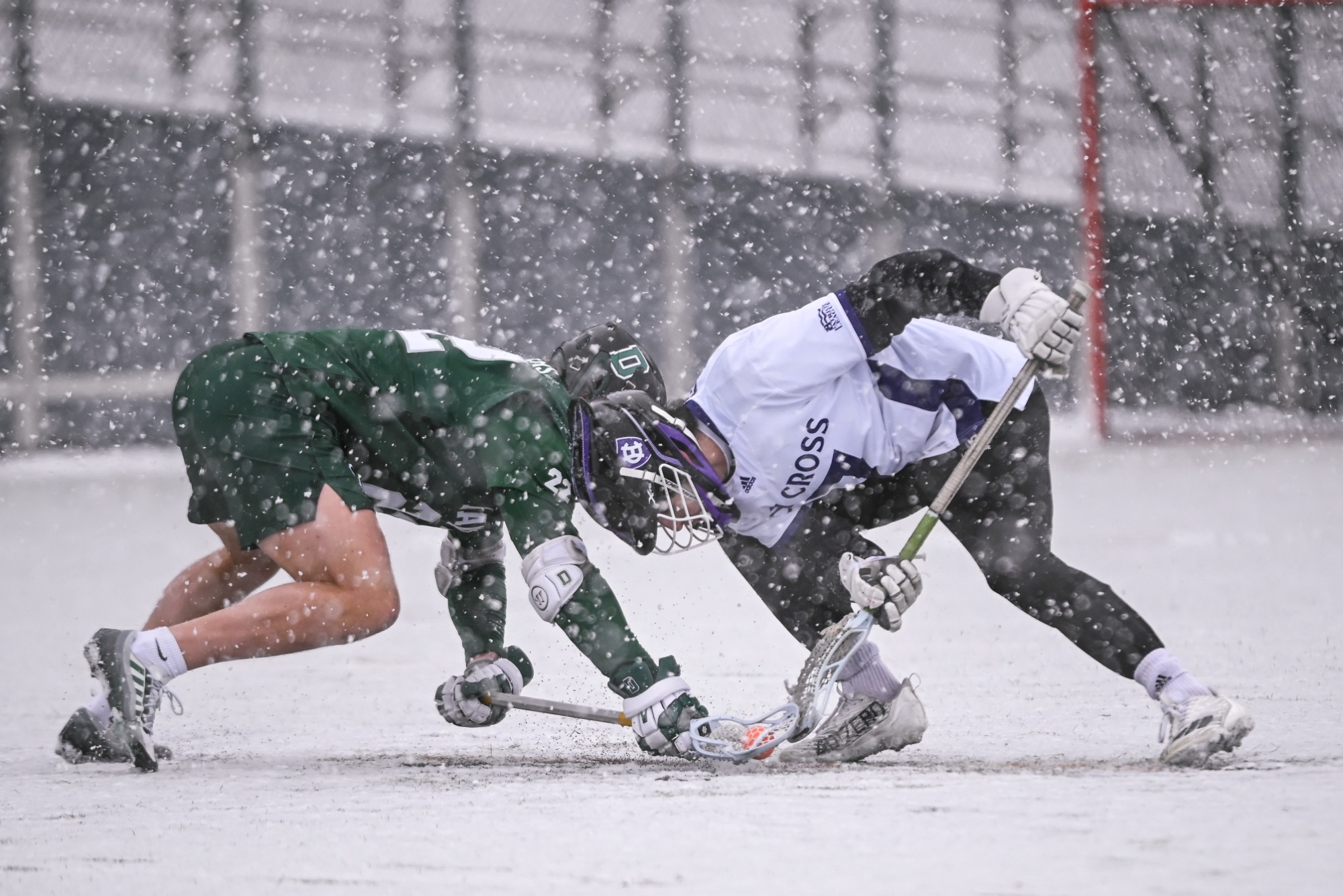 Jordan Naso - 2023 - Men's Lacrosse - Holy Cross Athletics
