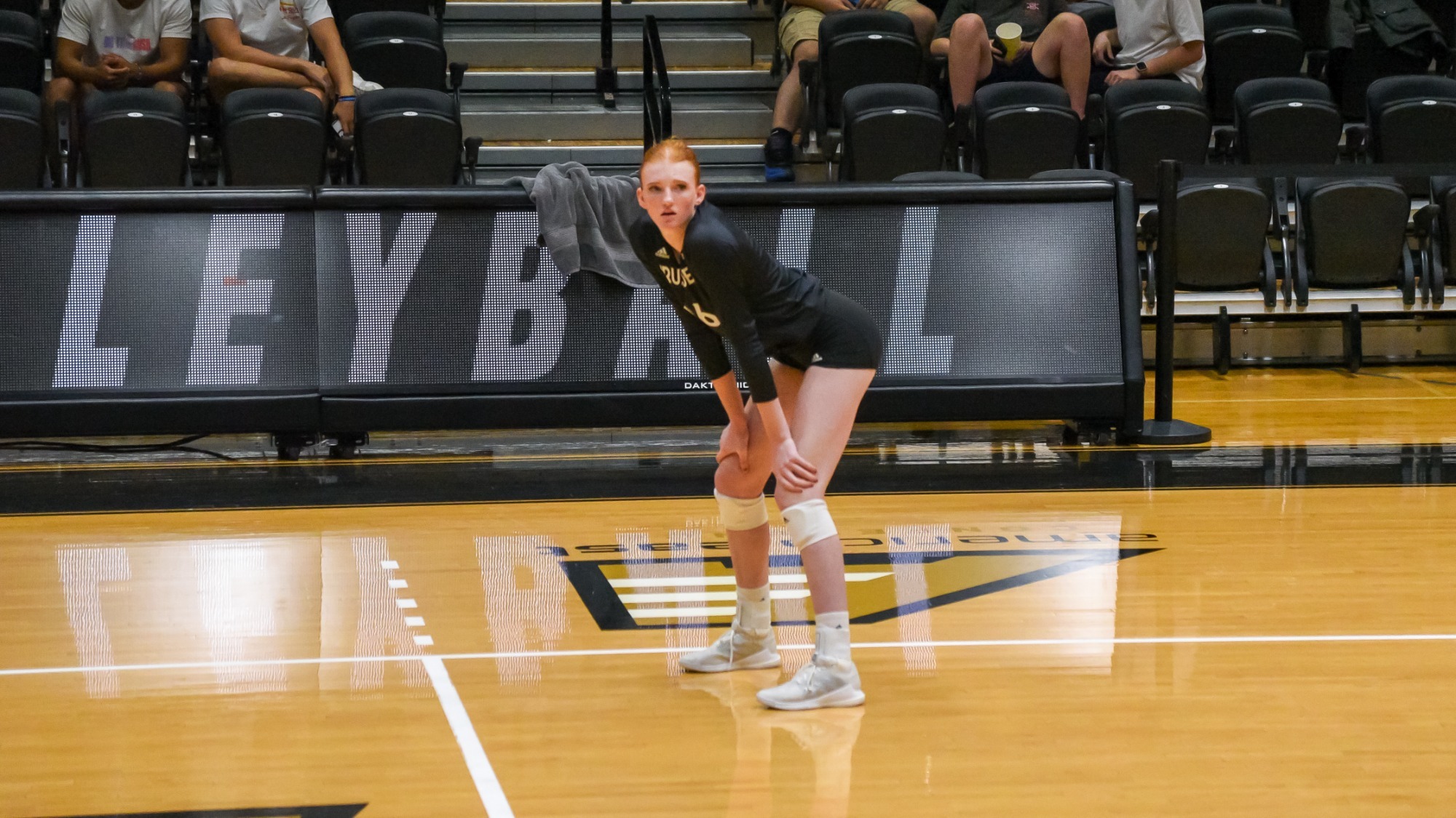 Bailey Hall Volleyball at Walter Lawrence blog