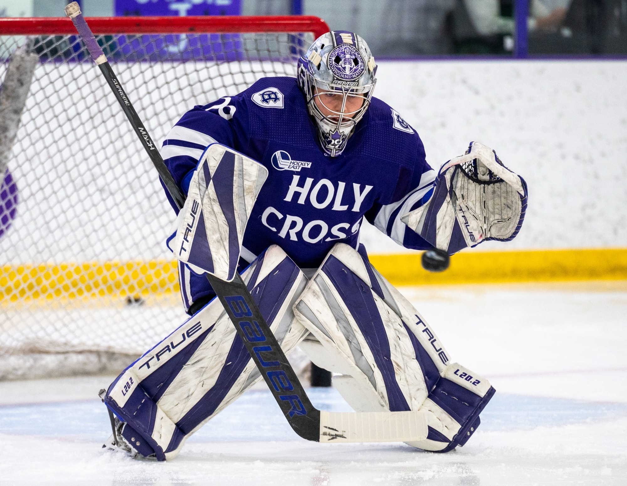 Madison Beck - 2023-24 - Women's Ice Hockey - Holy Cross Athletics