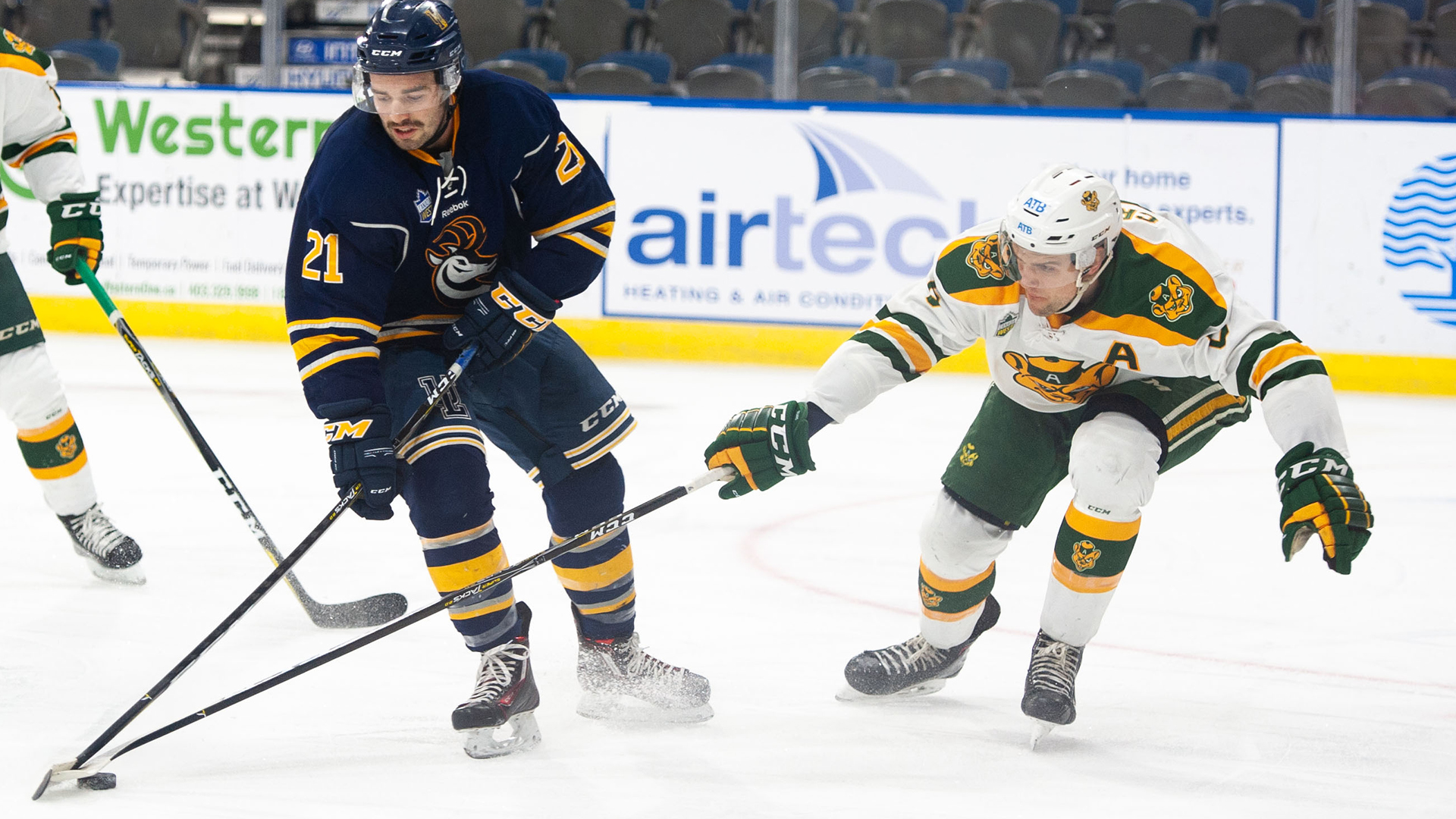 Torrin White - 2019-20 - Men's Hockey - University of Lethbridge Athletics