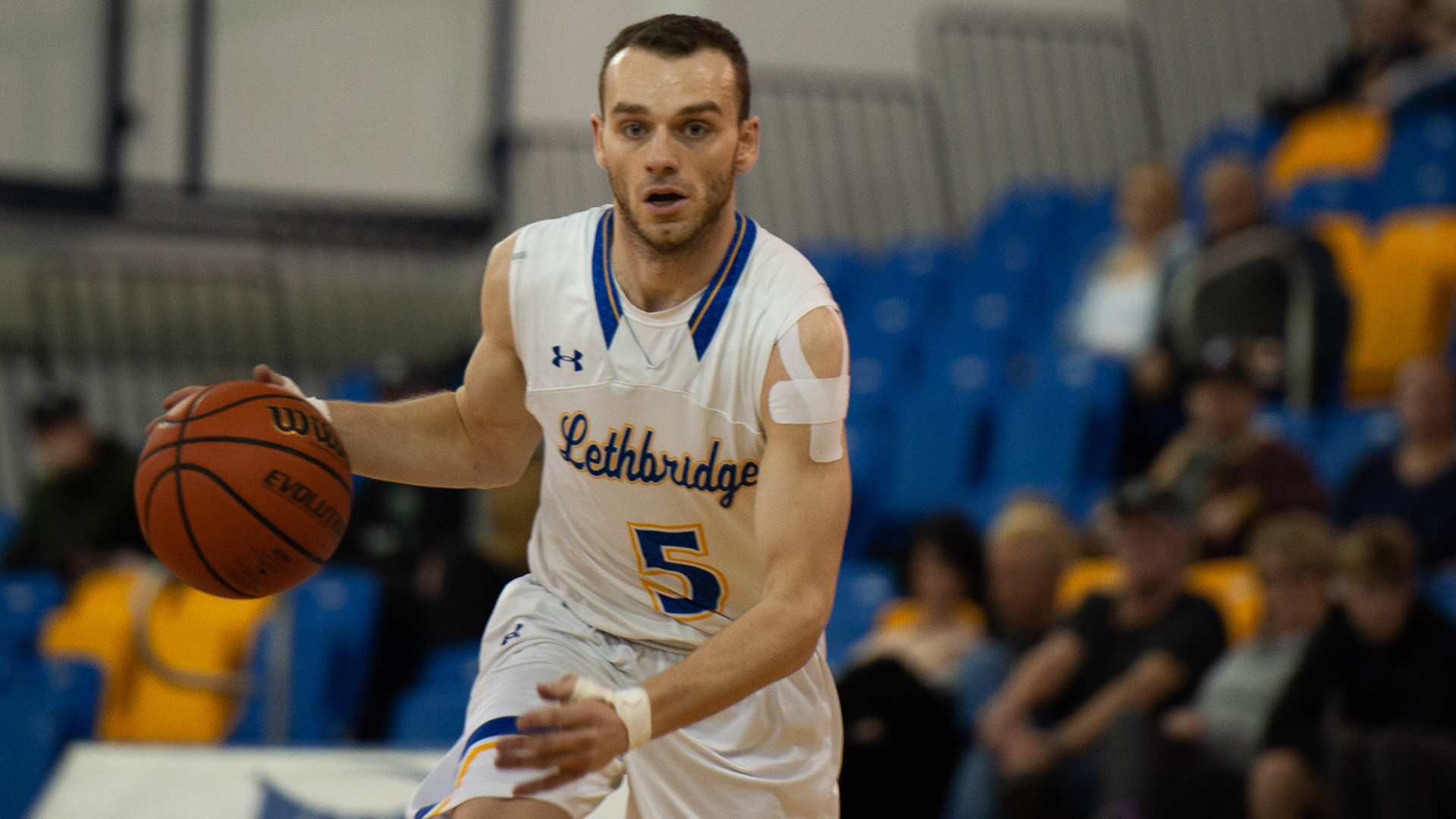 Kyle Peterson - 2019-20 - Men's Basketball - University of Lethbridge ...