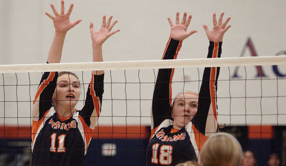 Kristen Larkin - 2018 - Women's Volleyball - Keystone College Athletics