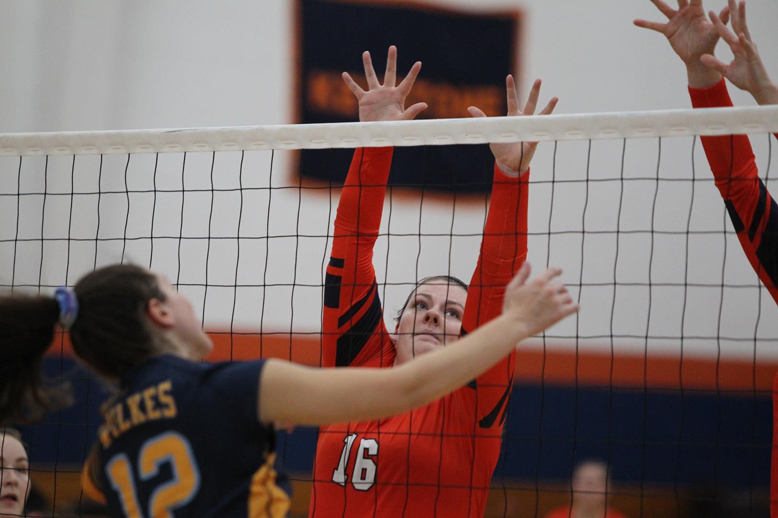 Natalie Daley - 2019 - Women's Volleyball - Keystone College Athletics