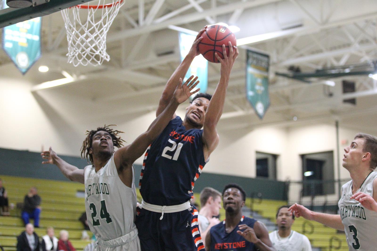 Tyler Sebastian - 2018-2019 - Men's Basketball - Keystone College Athletics