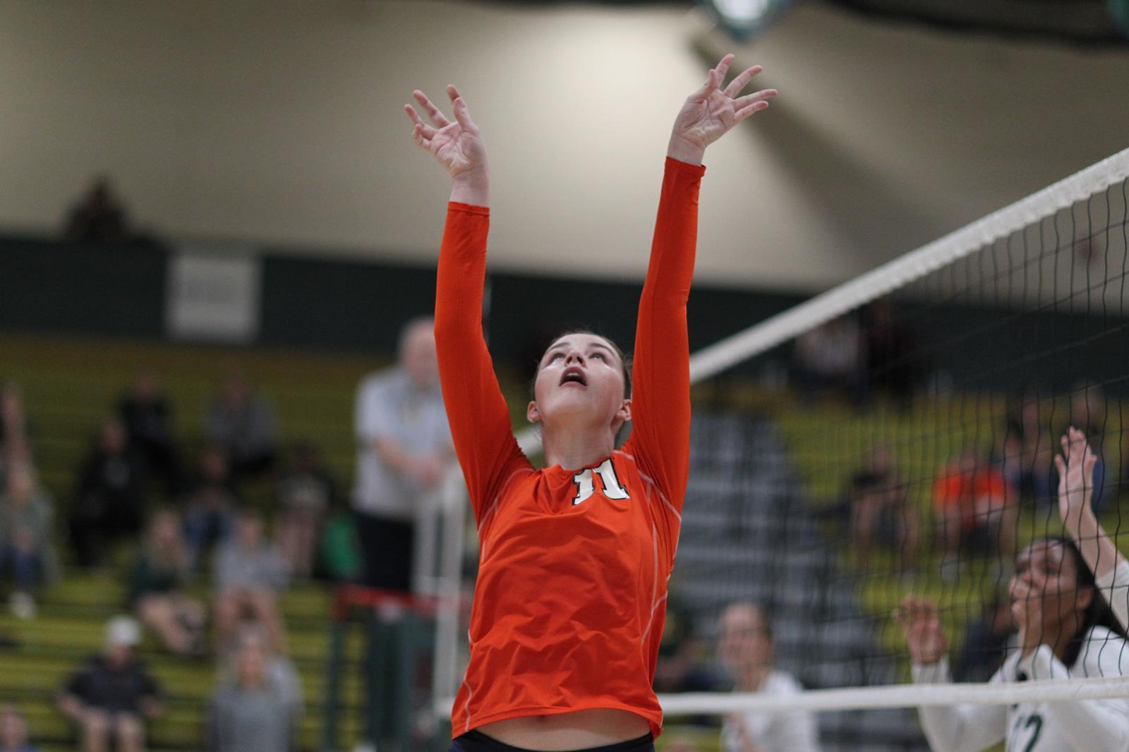 Amanda Hardy - 2019 - Women's Volleyball - Keystone College Athletics