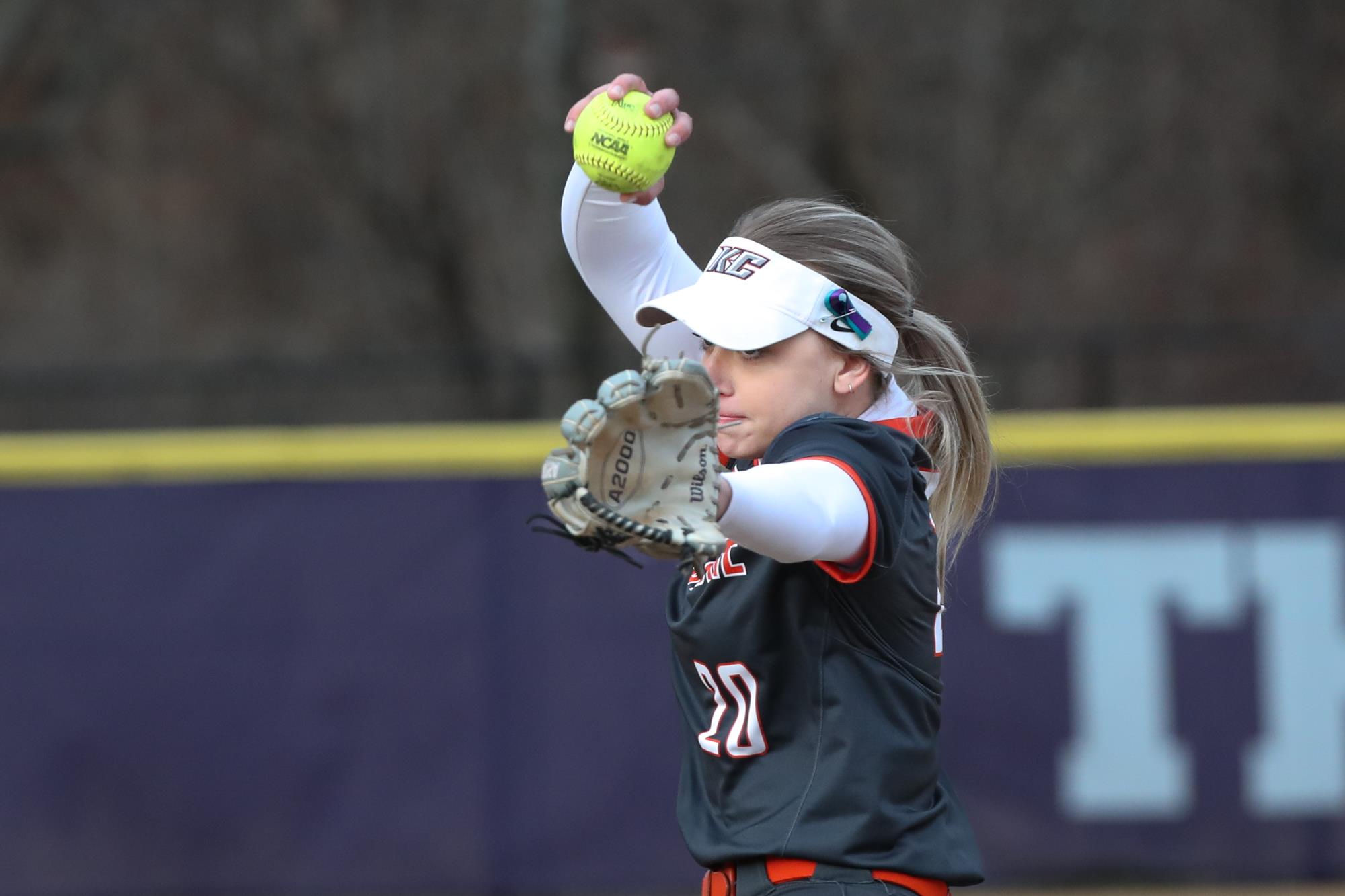 Hannah Dickson - 2022 - Softball - Keystone College Athletics