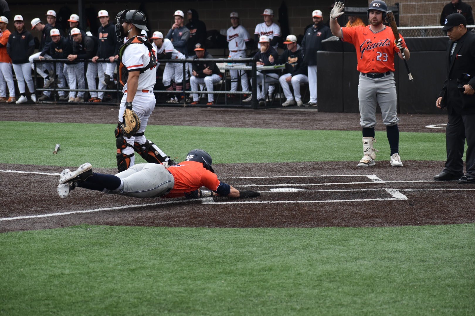 Anthony Raimo - 2023 - Baseball - Keystone College Athletics