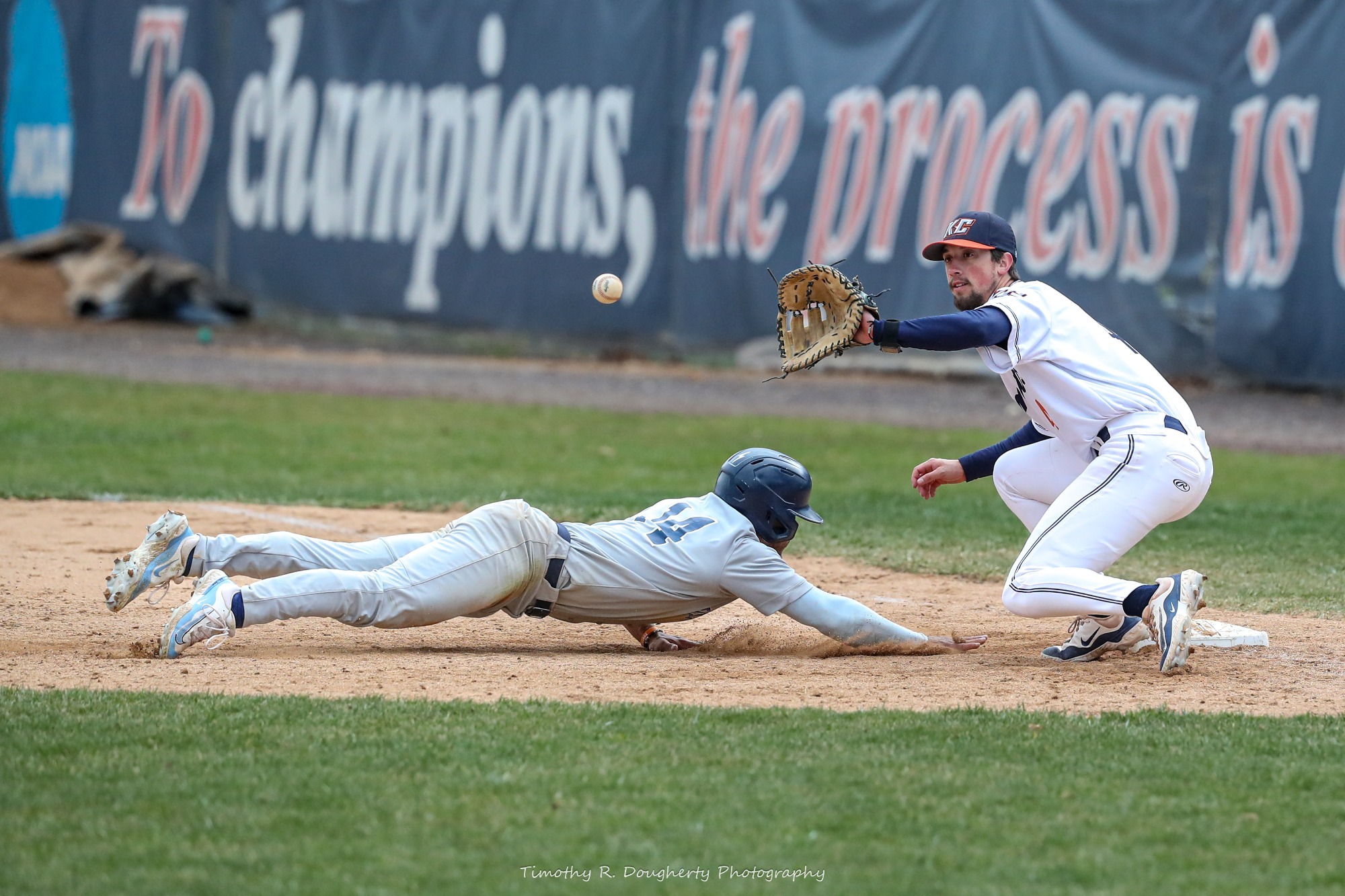 David Curreri - 2024 - Baseball - Keystone College Athletics