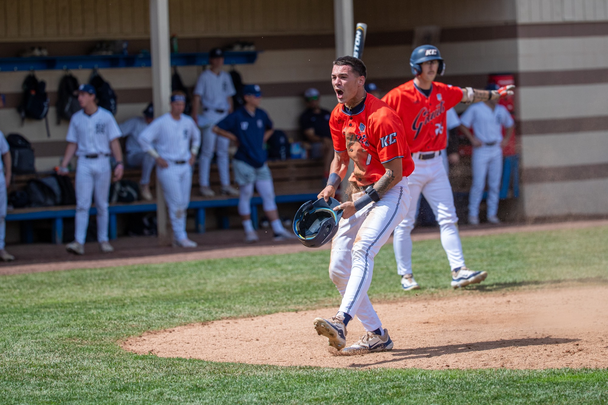 Chase Boyle - 2024 - Baseball - Keystone College Athletics