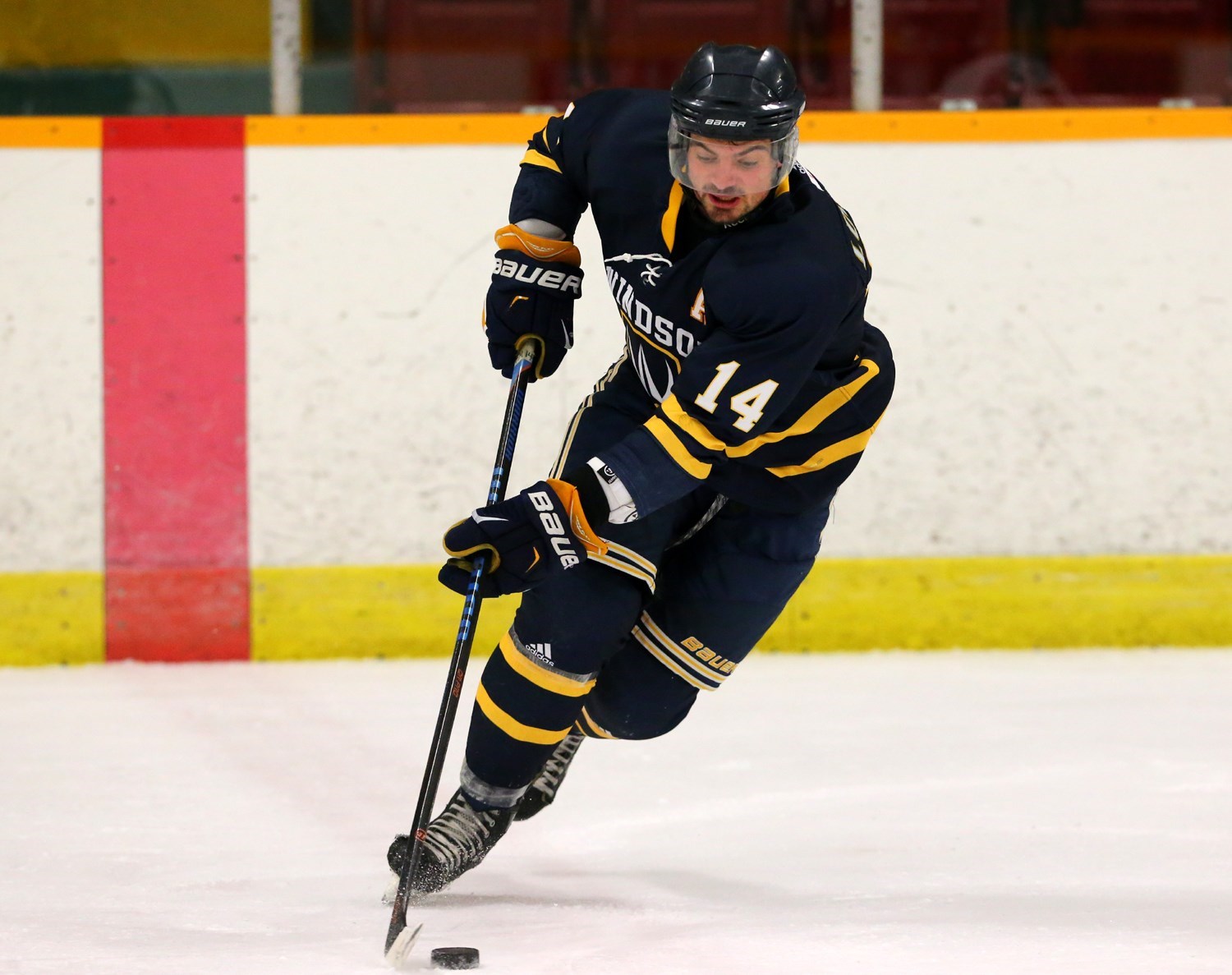 Julian Luciani - Men's Hockey - Windsor Lancers