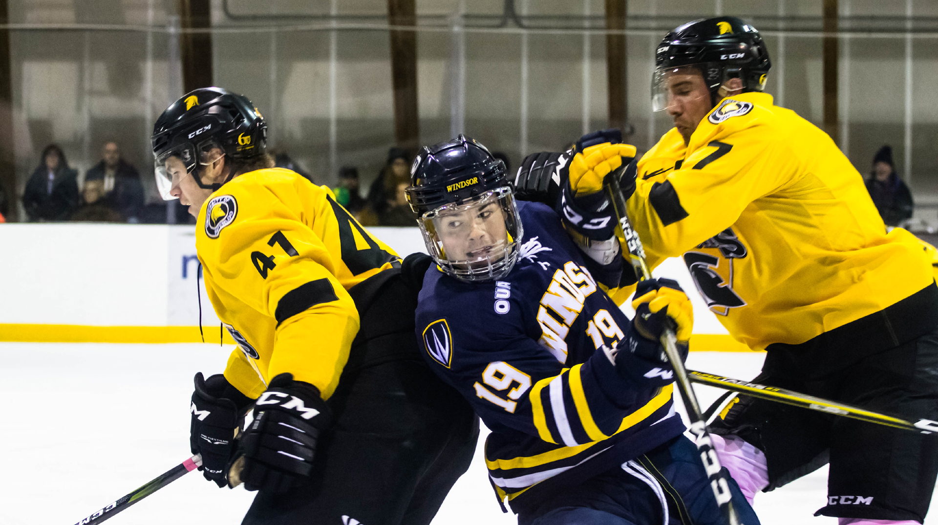 Alex Friesen - Men's Hockey - Windsor Lancers