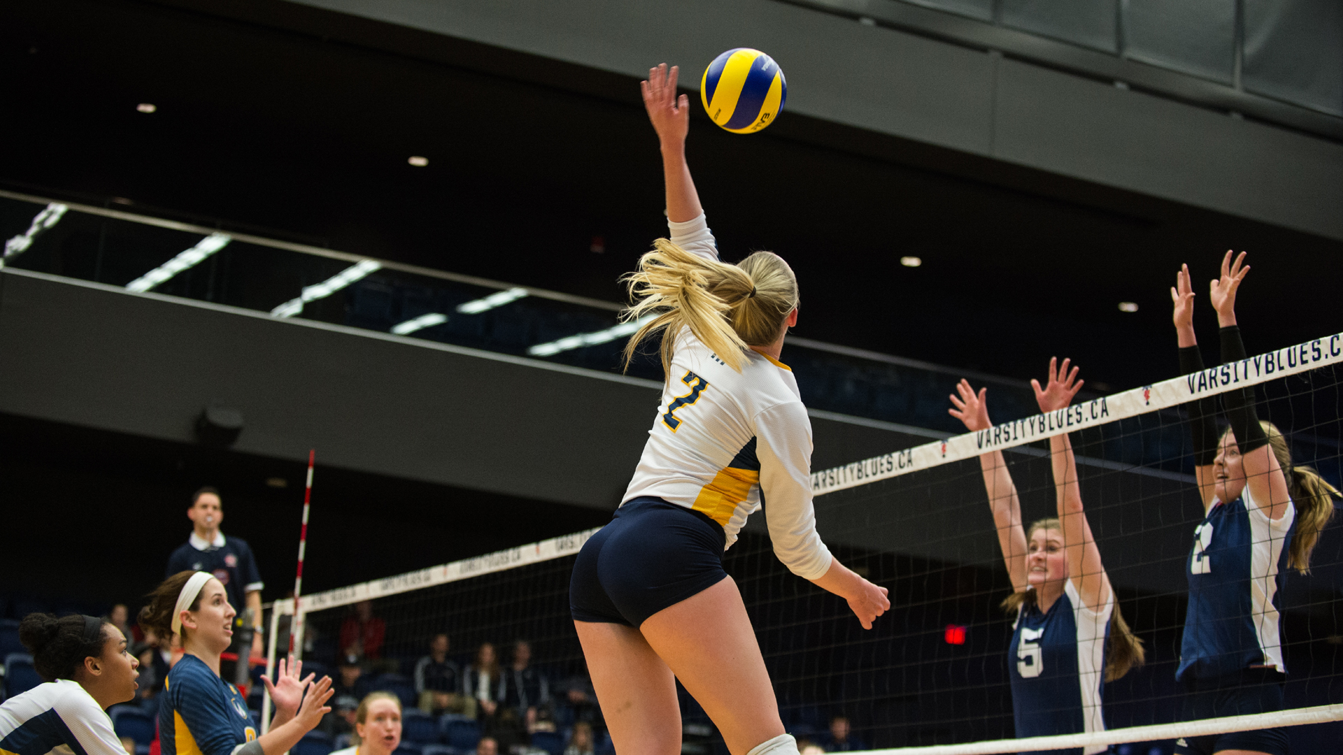 Lexi Pollard - Women's Volleyball - Windsor Lancers