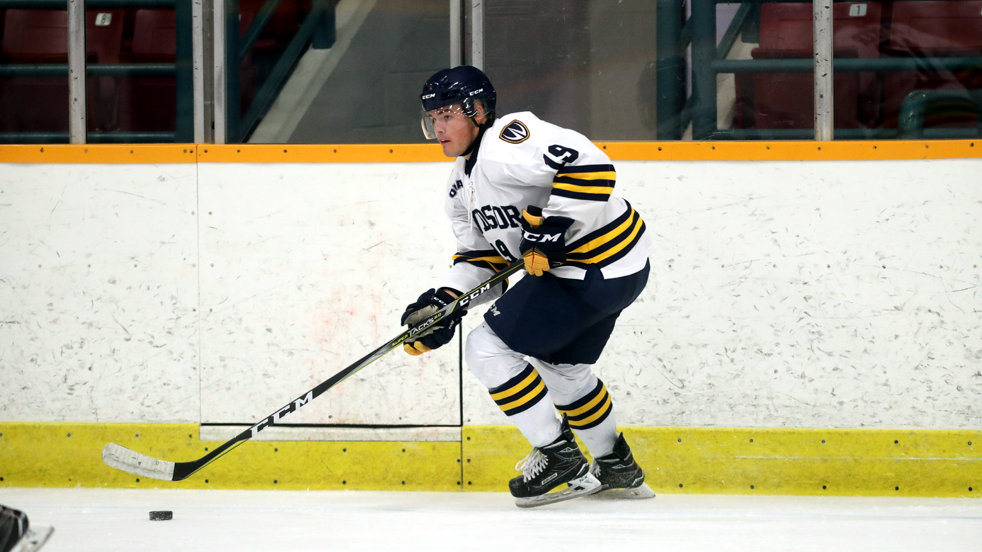 Alex Friesen - Men's Hockey - Windsor Lancers