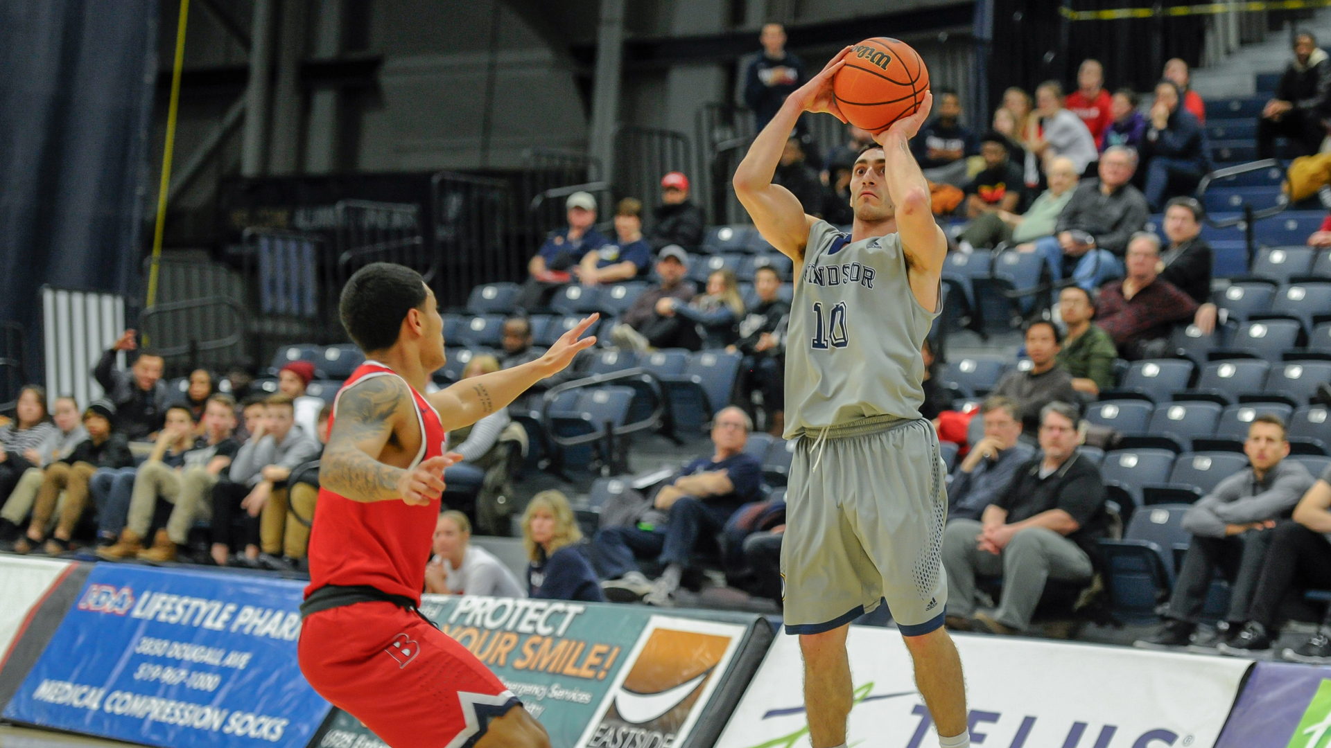 Mike Rocca - Men's Basketball - Windsor Lancers