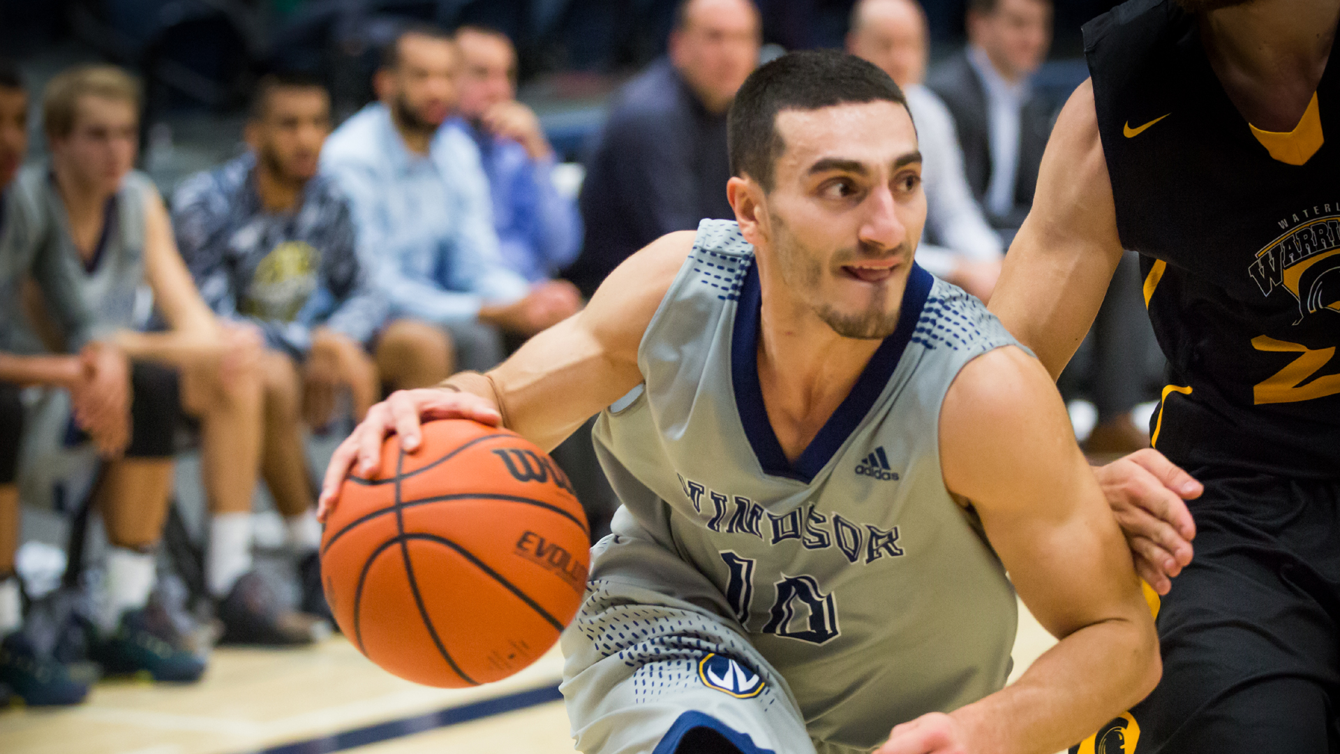 Mike Rocca - Men's Basketball - Windsor Lancers