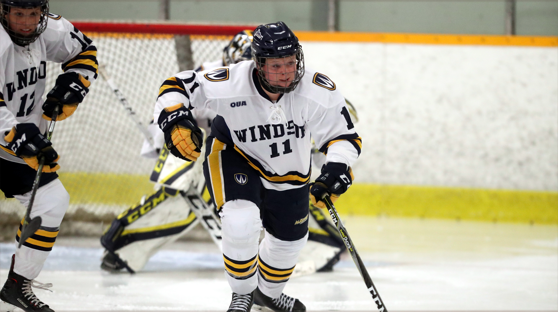 Meredith Goldhawk - Women's Hockey - Windsor Lancers