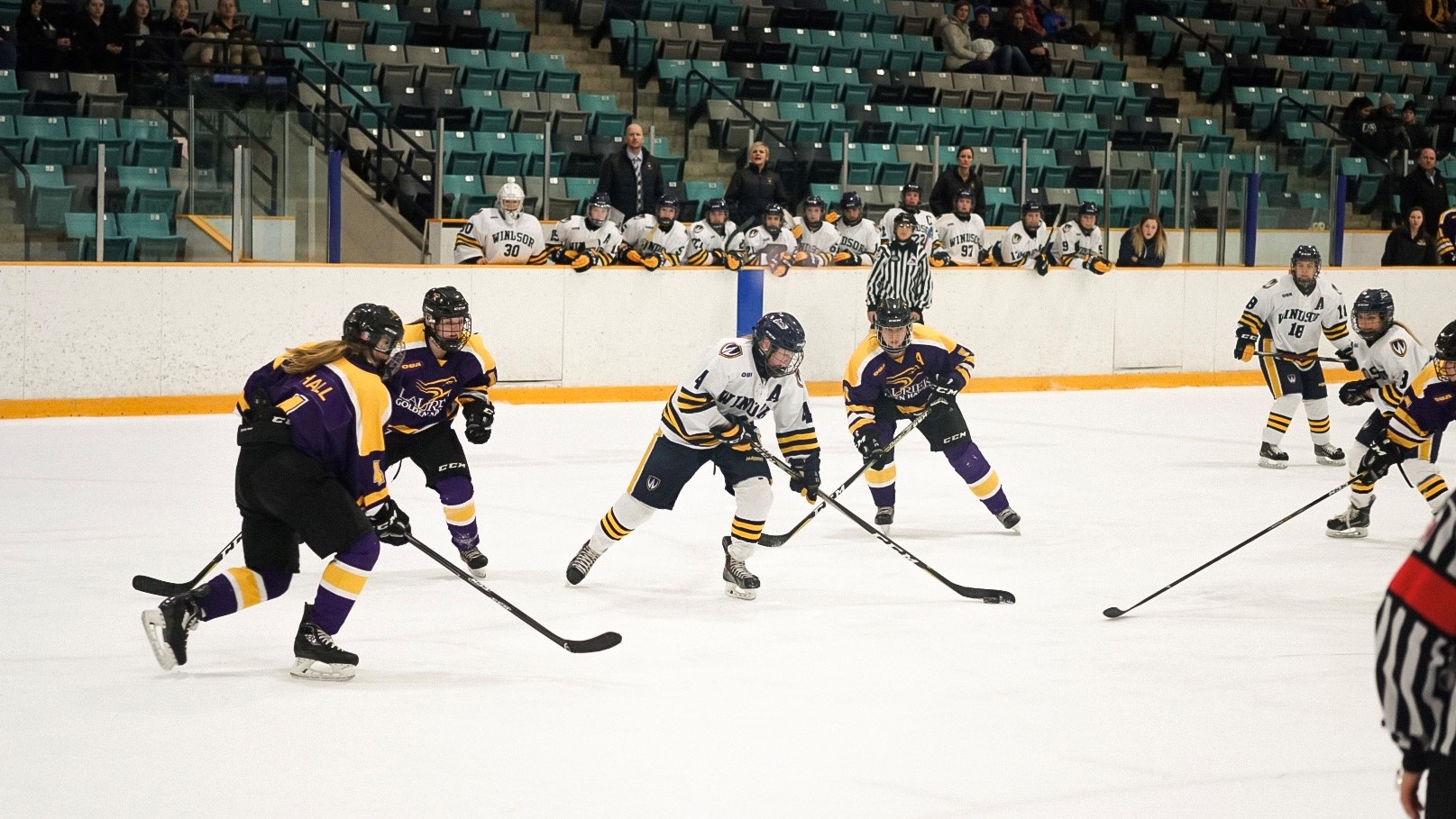 Jessica Gribbon - Women's Hockey - Windsor Lancers