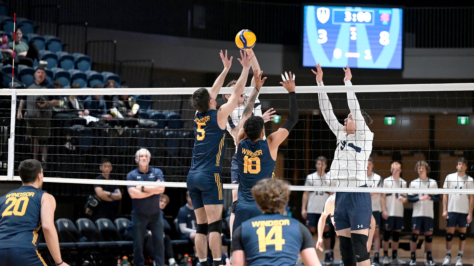 Zach Albert - Men's Volleyball - Windsor Lancers
