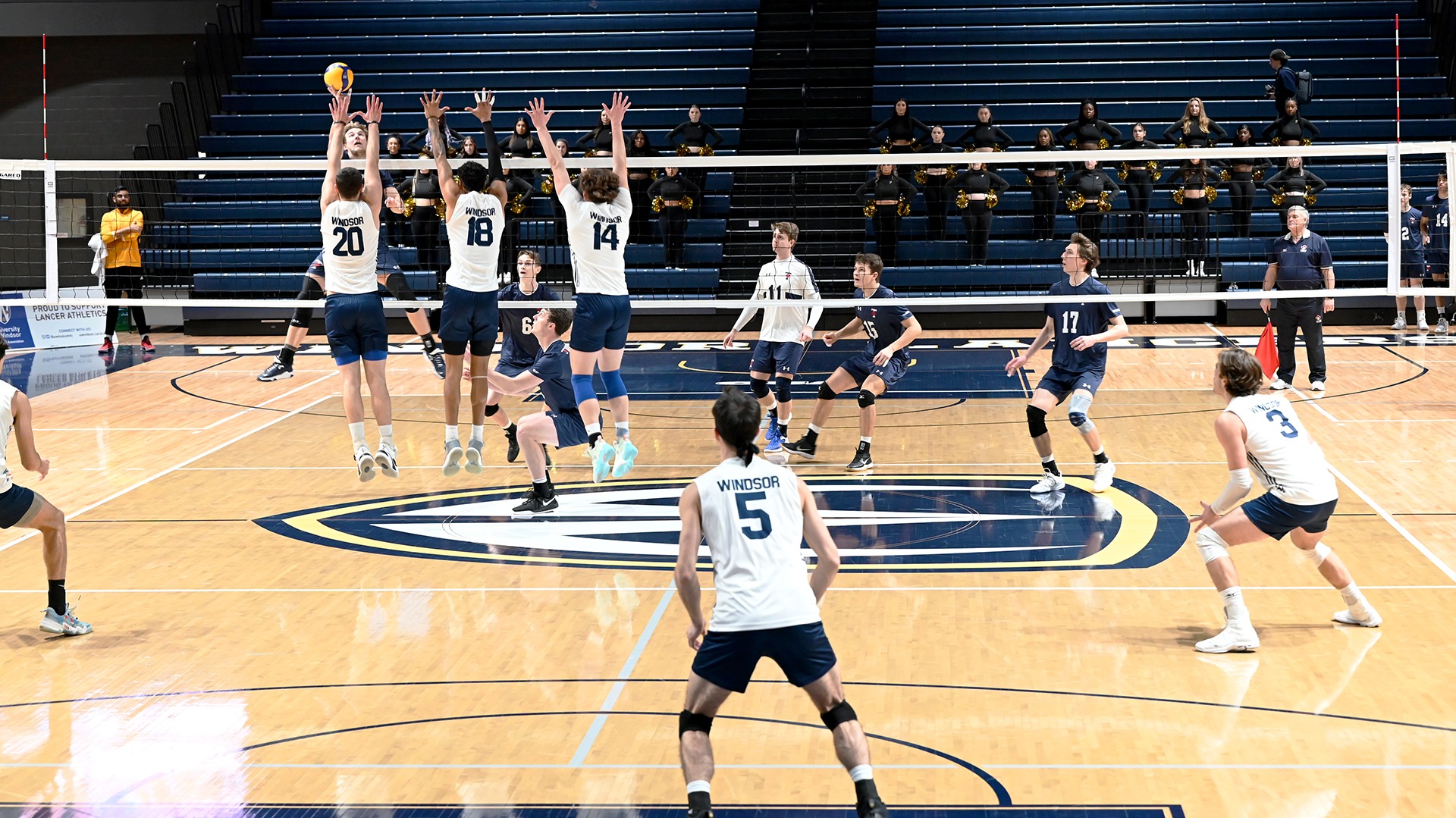 Men's Volleyball splits weekend series with Toronto - Windsor Lancers