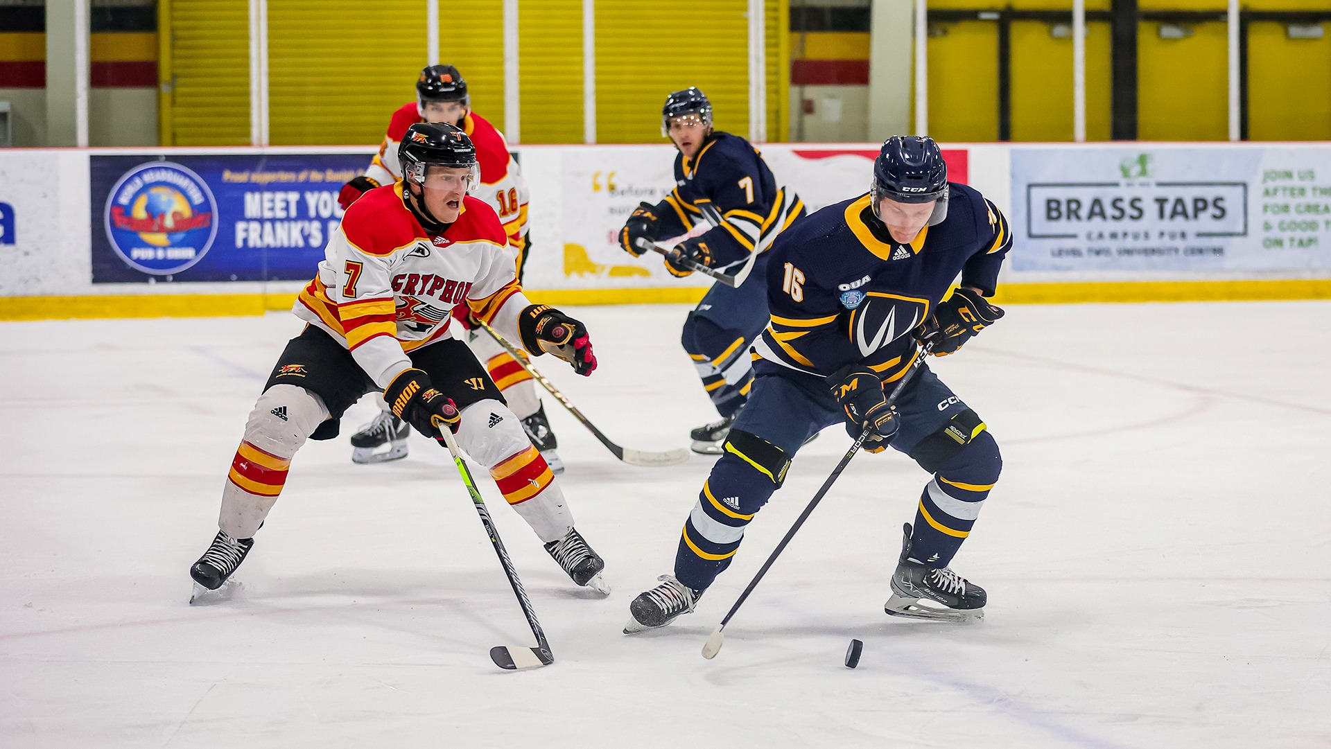 Ryan Roth - Men's Hockey - Windsor Lancers