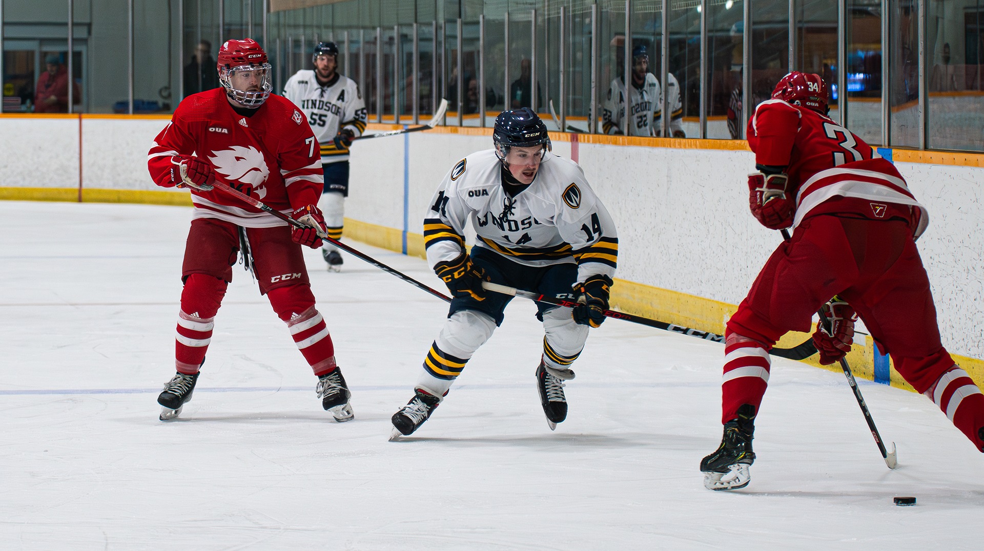 Men's hockey splits final weekend of 2023 - Windsor Lancers