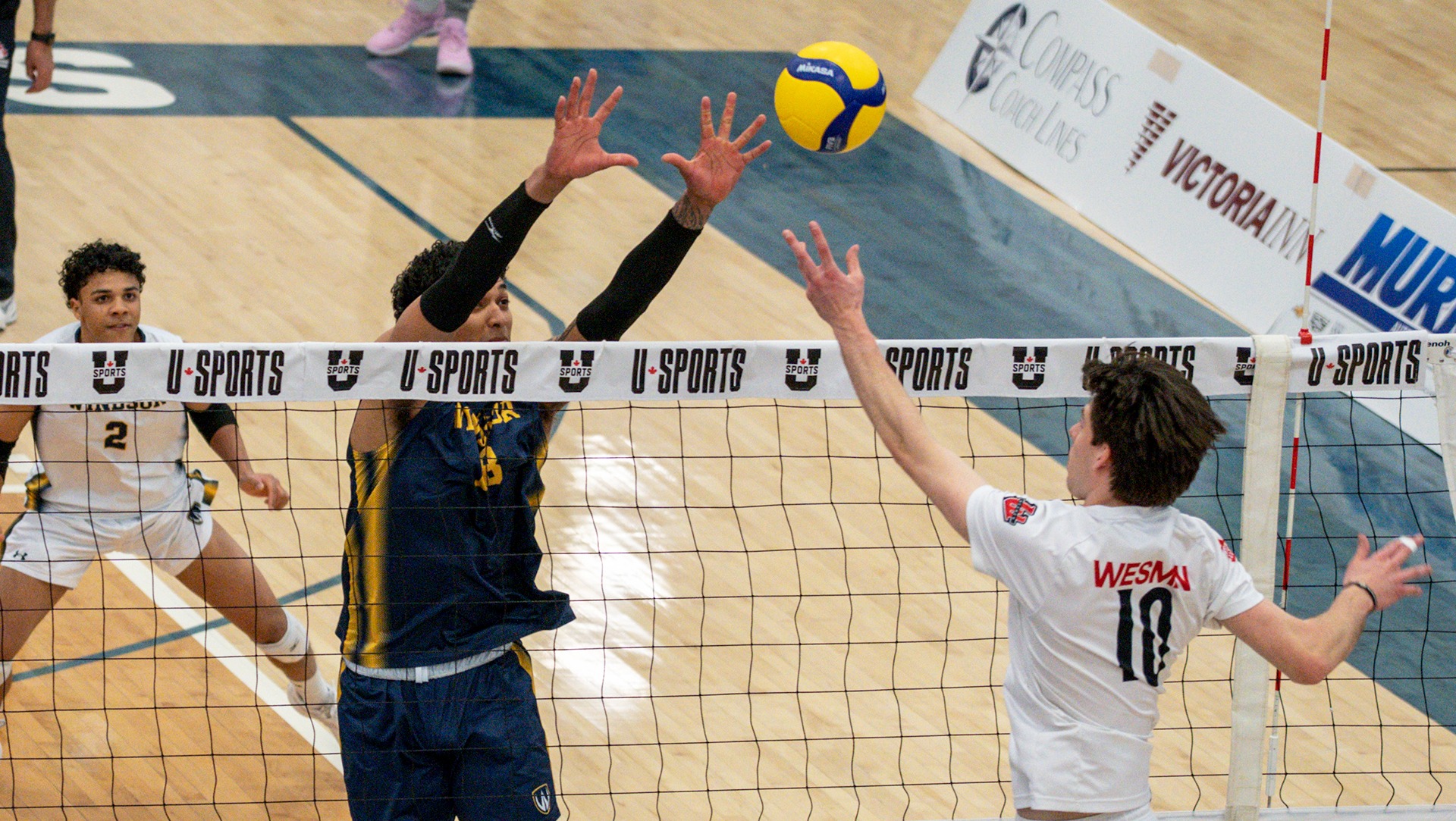 Men's Volleyball to host U SPORTS Top 10 opponents in pre-season action ...