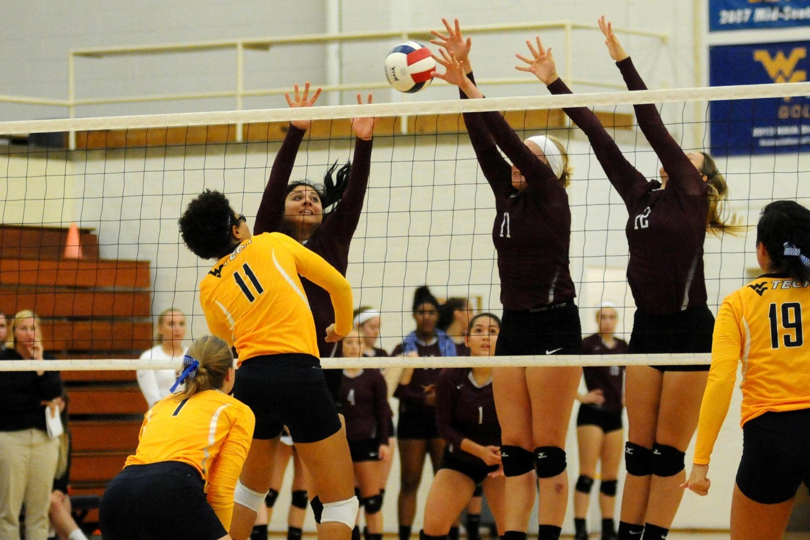 Mackenzie Snare - 2015 - Volleyball - WVU Tech Athletics