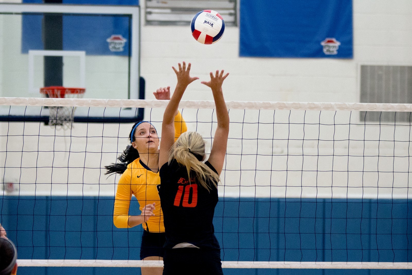 Hannah Atkins - 2014 - Volleyball - WVU Tech Athletics