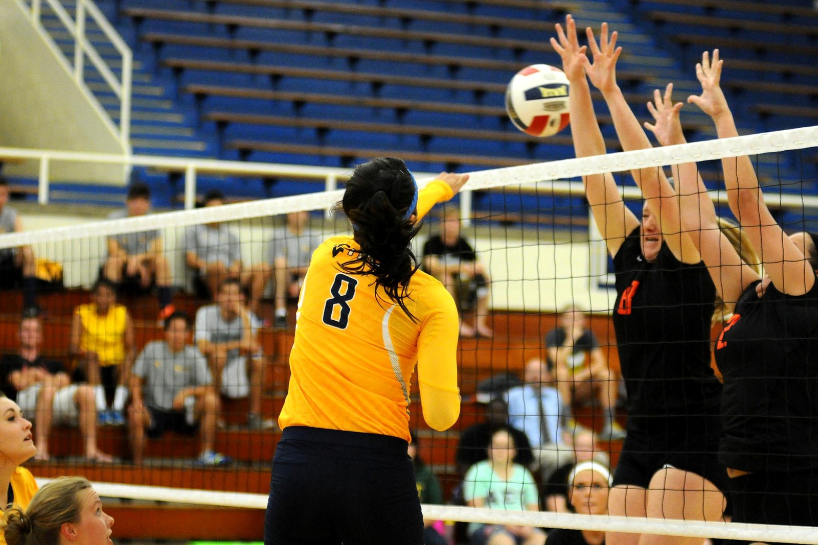Hannah Atkins - 2014 - Volleyball - WVU Tech Athletics