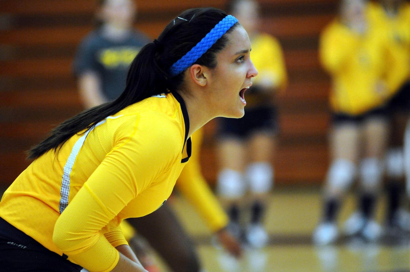 Hannah Atkins - 2014 - Volleyball - WVU Tech Athletics
