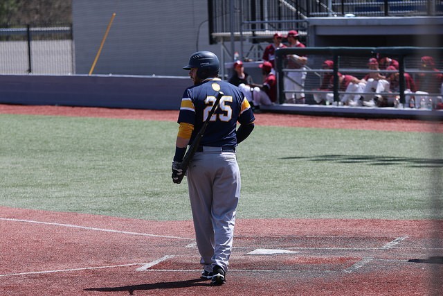 Trevor Lam - 2017 - Baseball - WVU Tech Athletics