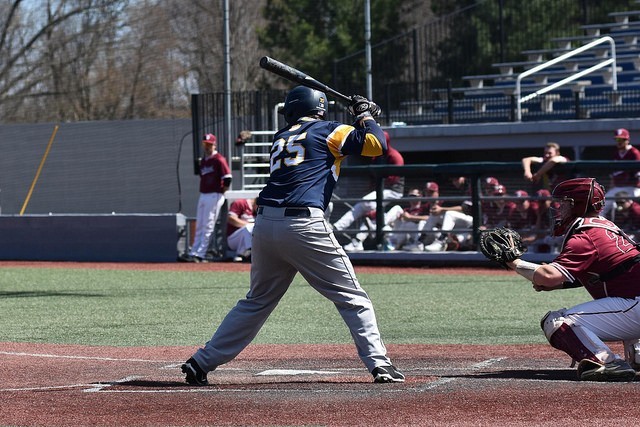 Trevor Lam - 2017 - Baseball - WVU Tech Athletics