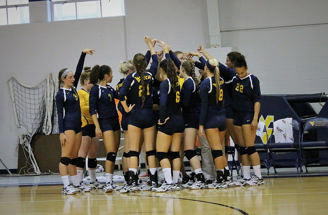 Jade Berry - 2017 - Volleyball - WVU Tech Athletics