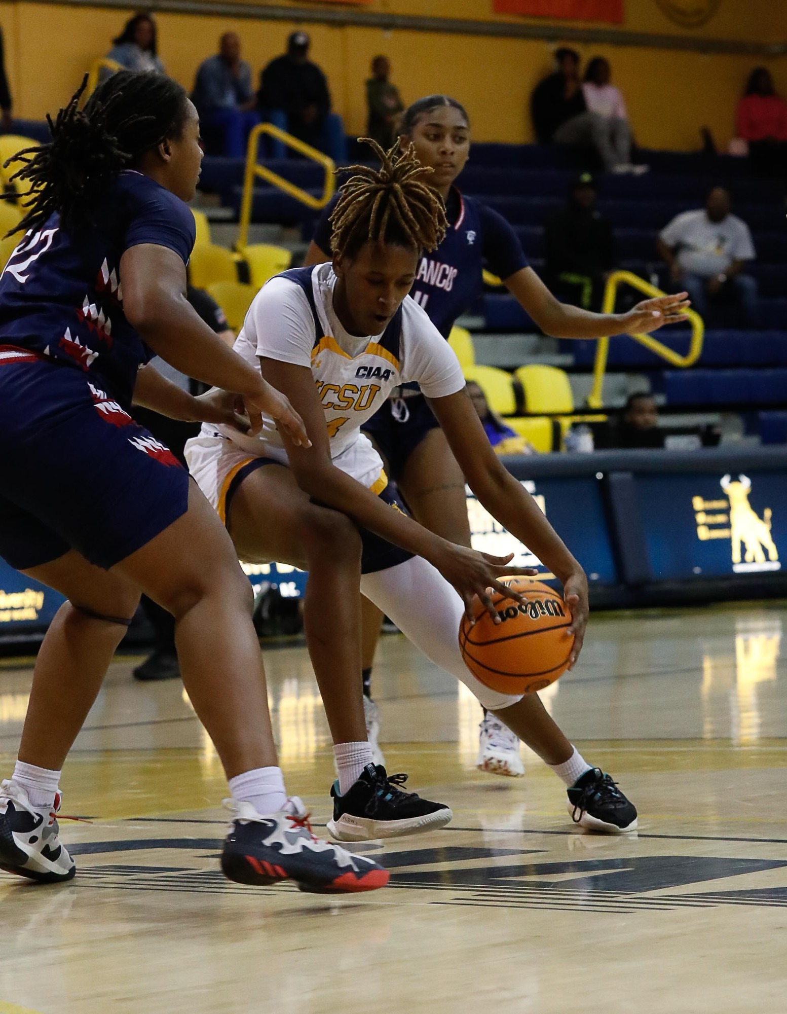 Carmon scores 17 points, WBB falls in OT to VSU, 73-69 - Johnson C ...
